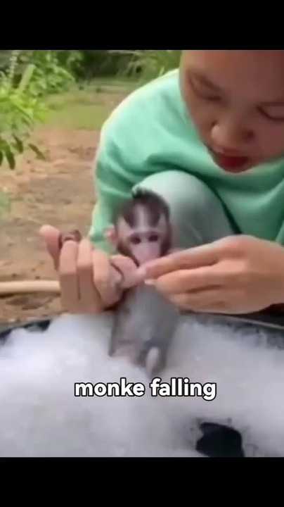 Mono - Meme by Carlos_Bnijalamelami :) Memedroid