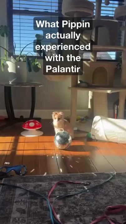 Pippin touched the Palantir and got 4K spoilers - Meme by HelsinkiBECH ...