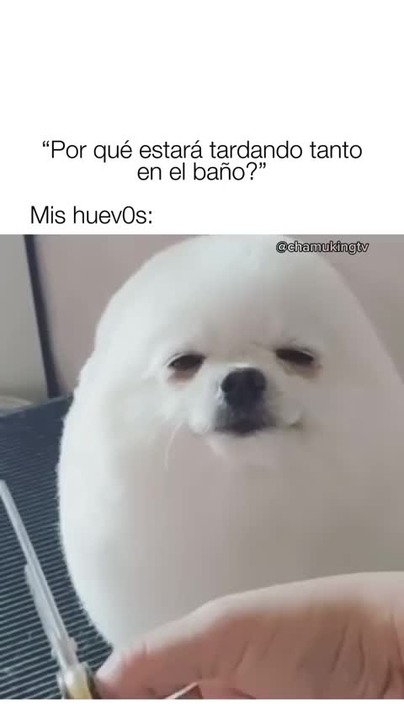 Bien redondos - Meme subido por 9Karlpop9 :) Memedroid