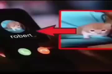 Robert - Meme by El-papux-tauner :) Memedroid