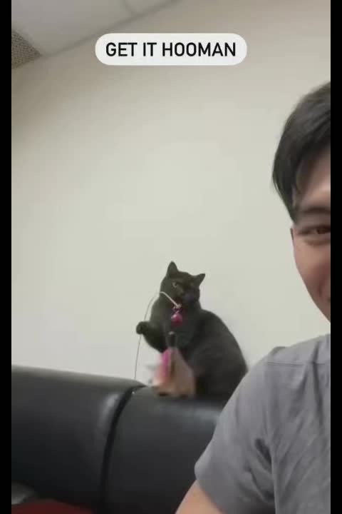 How the turntables - Meme by Cliffy_99 :) Memedroid