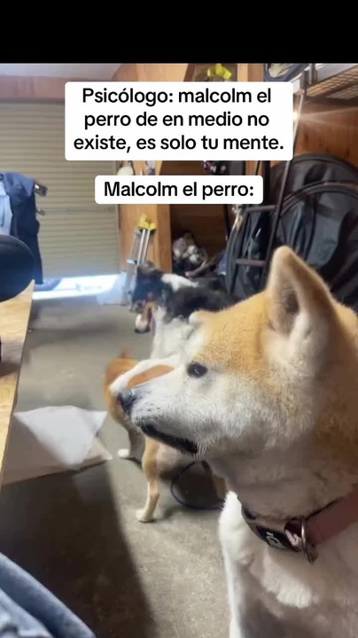 oh no maybe i dont know - Meme subido por PainKillerz :) Memedroid