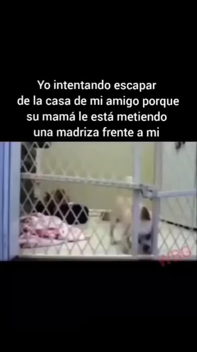 Cuando le dan una madriza a tu amigo delante de ti - Meme subido por ...