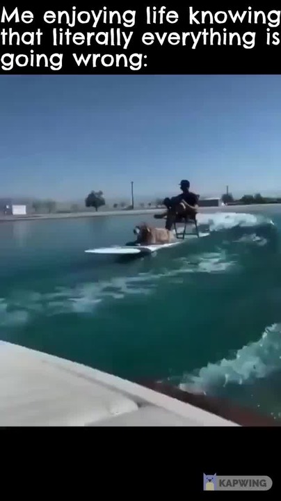 Drip dog - Meme subido por Disappointed_father :) Memedroid