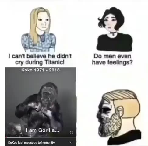 Koko - Meme subido por Sandro916 :) Memedroid