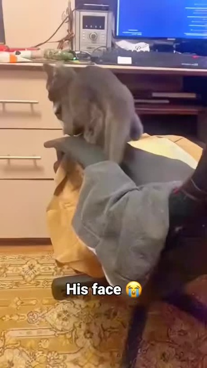 You can see the fear in his eyes - Meme by DLAPHINT :) Memedroid