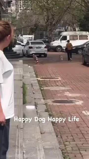 Happy dog - Meme by Neyonner :) Memedroid