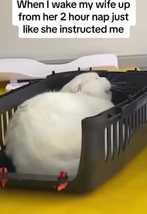 Let's gooo - Meme by Ta3vex :) Memedroid