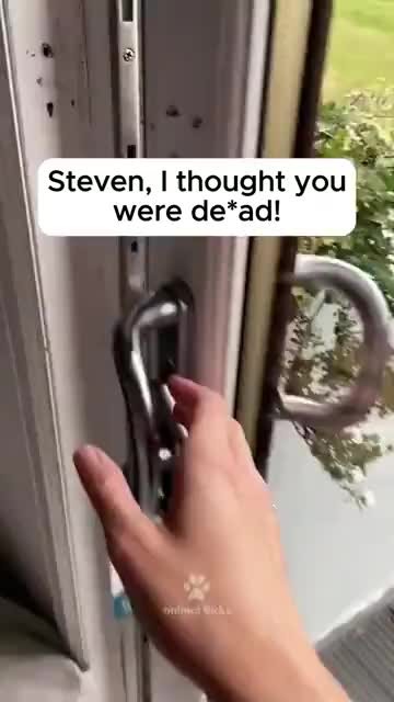Steven!! - Meme by FireGun10 :) Memedroid