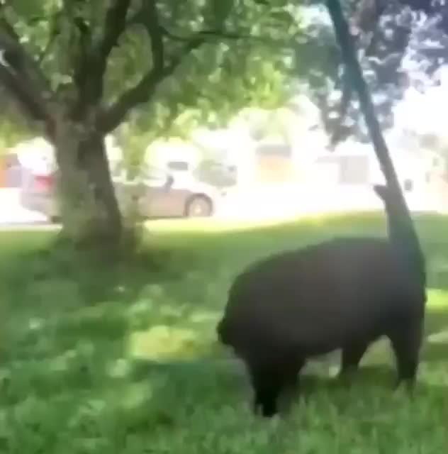 Hi - Meme by Azurath :) Memedroid