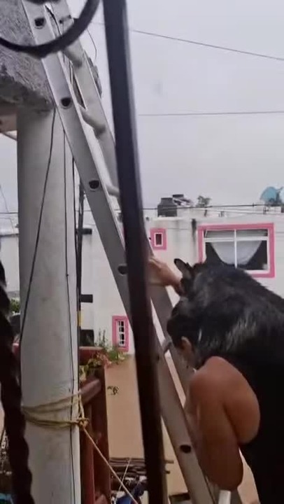 Friends help each other - Meme by vadersdad :) Memedroid