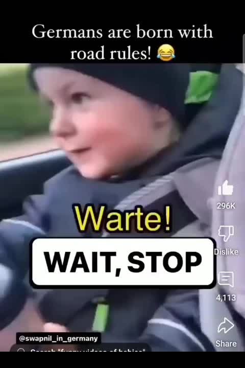 Oh mein gott! Cute backseat driver - Meme by Cliffy_99 :) Memedroid