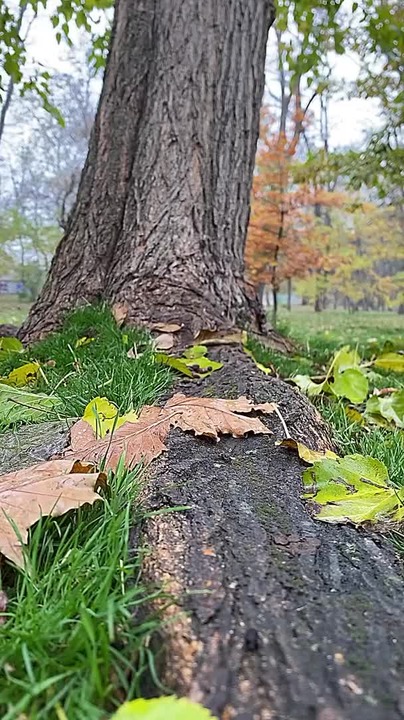 forest Karen unvailed - Meme by HelgiTheHaggard :) Memedroid