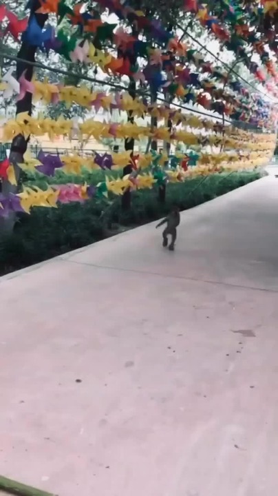 Tio Tério - Meme by Franco_Maranhao :) Memedroid