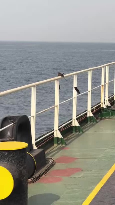 Mirad este nuevo Pokemon - Meme subido por yoe7890 :) Memedroid