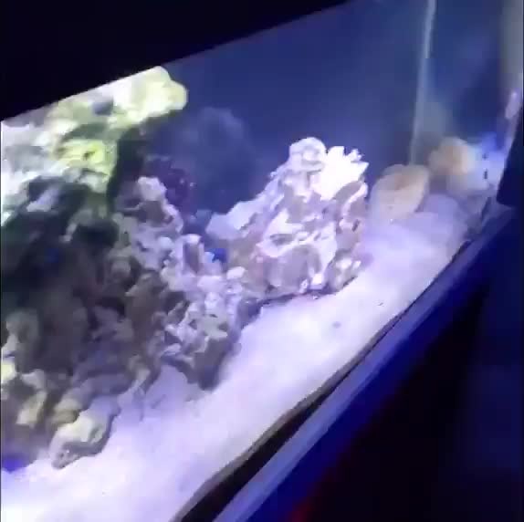 Splish splash - Meme subido por Elit3Fla5h :) Memedroid