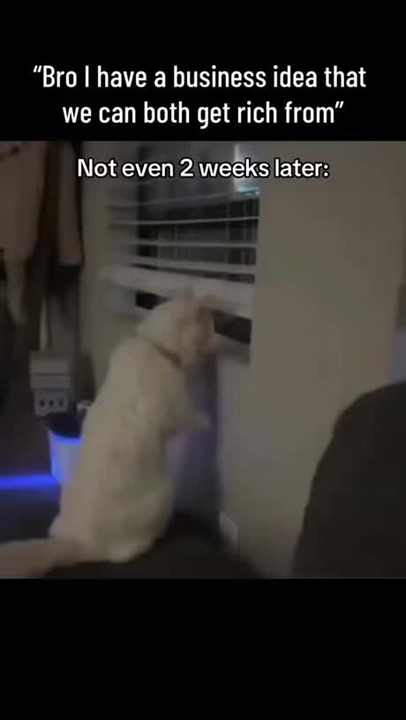 Business idea meme - Meme by hybridsense153 :) Memedroid