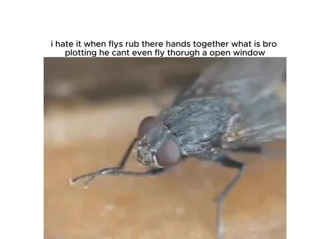 What is bro plotting - Meme by PoisonIVYrex :) Memedroid