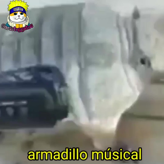 Fachero - Meme subido por Urywaz :) Memedroid