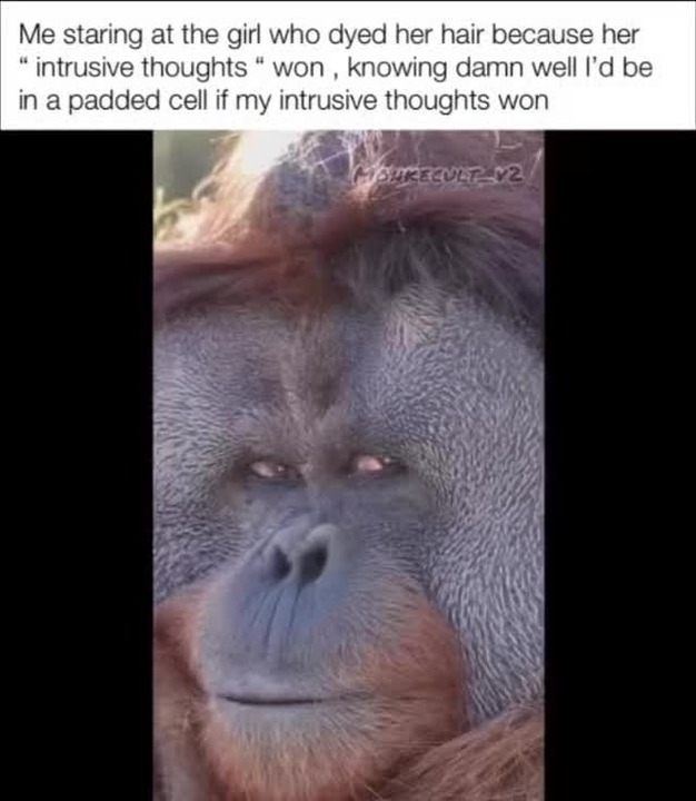 Intrus thoughts - Meme subido por Knot_daddy :) Memedroid