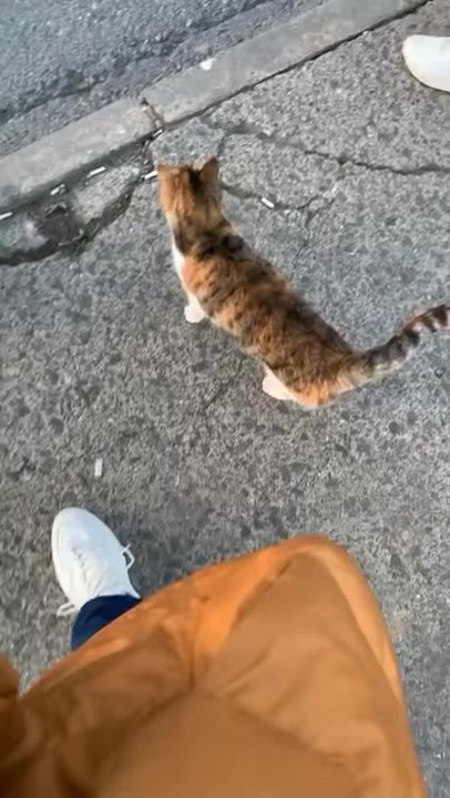 Hello! - Meme by Ta3vex :) Memedroid