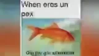 when eres un pex - Meme subido por diegorex18 :) Memedroid