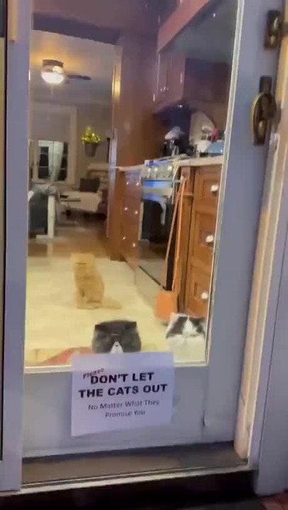 The song that inspired "Bad To The Bone" - Meme by CampingIsStrategy ...