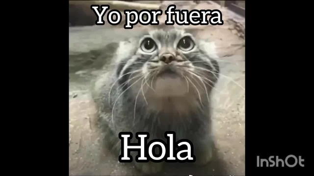 Un desconocido me habla - Meme subido por MATE8 :) Memedroid