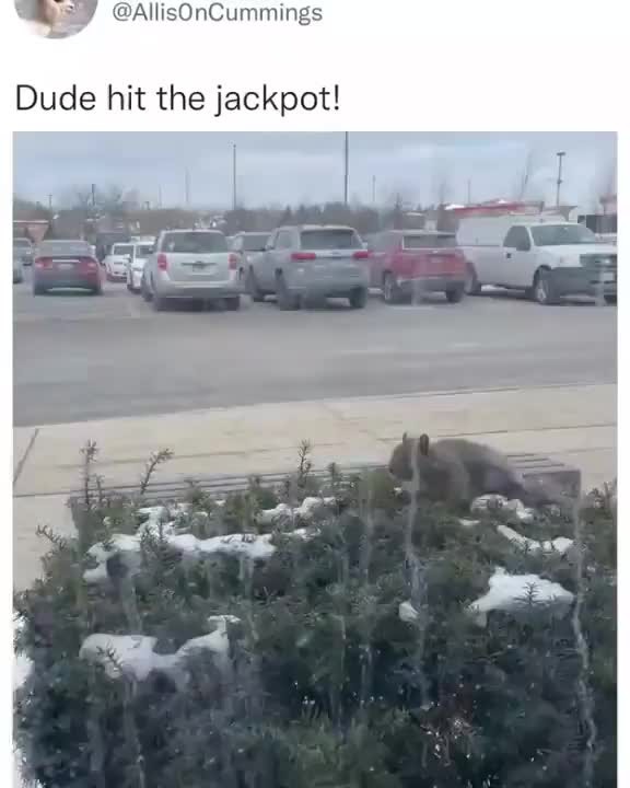 This dude finding hidden collectibles in the world - Meme by ...