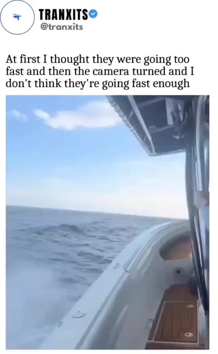 We were speeding until the camera showed we were crawling - Meme by ...