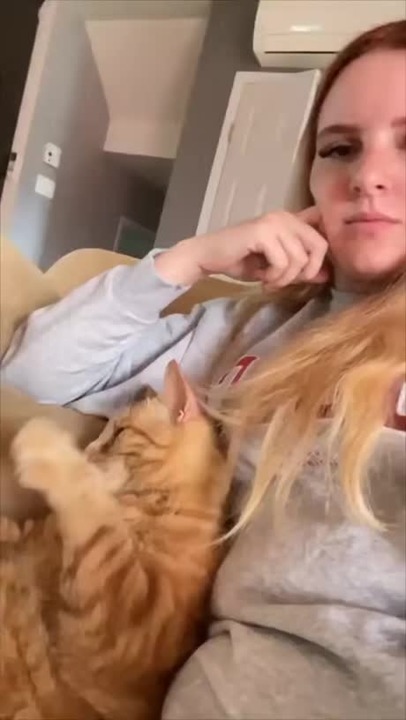 Cat hug - Meme by RapBroadway :) Memedroid