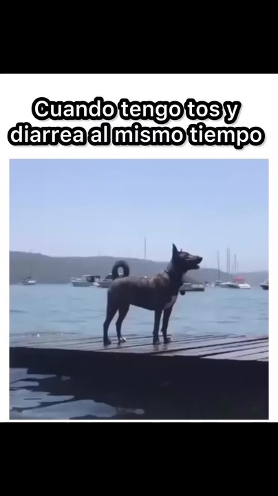 XD - Meme subido por Kaleno87 :) Memedroid