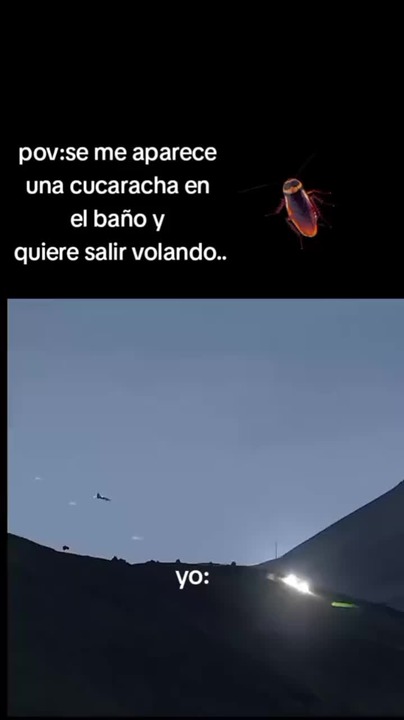 Aparece una cucaracha voladora y se desata el apocalipsis - Meme subido ...