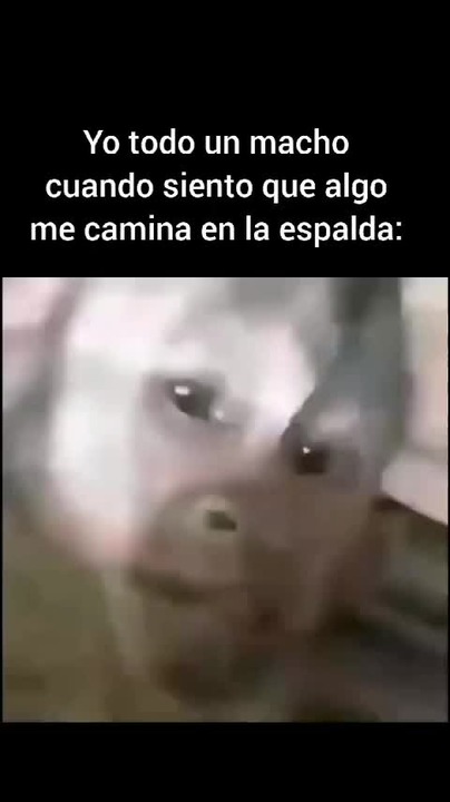 Xd - Meme subido por vicecity123f :) Memedroid