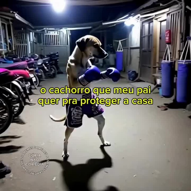 Dog roncando - Meme by Boudzard :) Memedroid