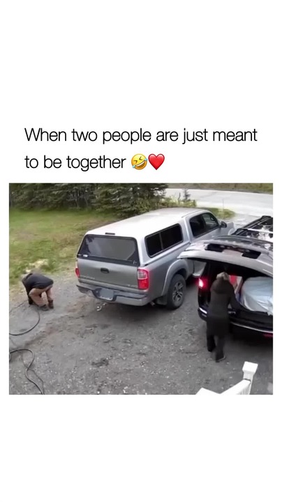 lol that’s the kind of pain you can’t answer questions during. - Meme ...