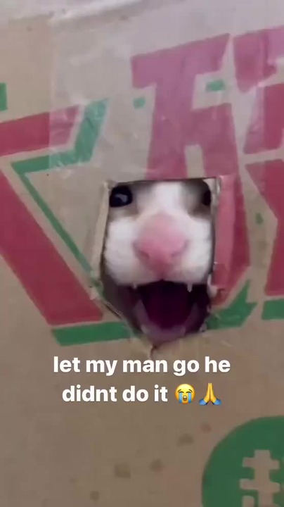 Let my man go! - Meme by BobboJenkins :) Memedroid