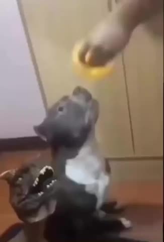 caraio - Meme by walderp :) Memedroid