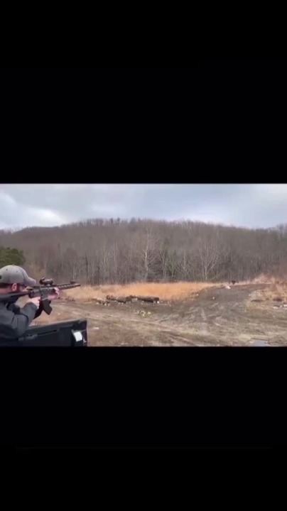 America Meme By The Dankrising Memedroid