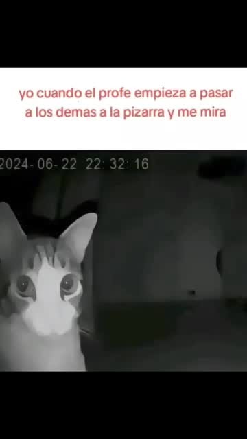 Cuando el profe empieza a pasar a la pizarra y ya me está mirando ...