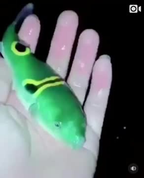 Pez - Meme subido por A-Bird :) Memedroid