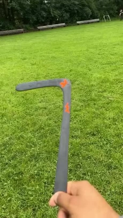 German boomerang - Meme by RobSammer :) Memedroid