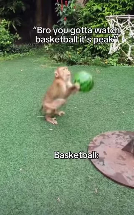 Basketball - Meme by Knot_daddy :) Memedroid