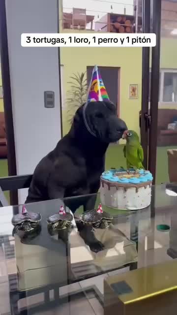 Ojala hubieran invitado - Meme subido por leonidesburgos :) Memedroid