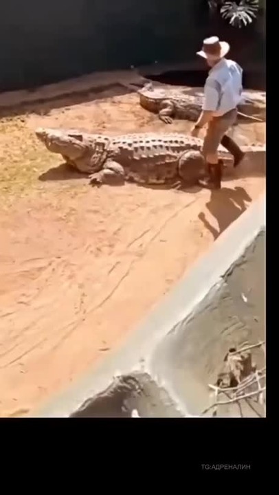 Hombre vs caiman - Meme by Fedediaz :) Memedroid