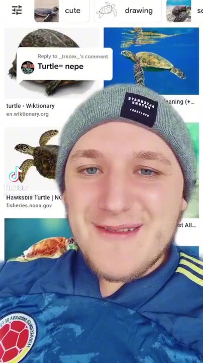 Turtle es nepe - Meme subido por Alfons10 :) Memedroid