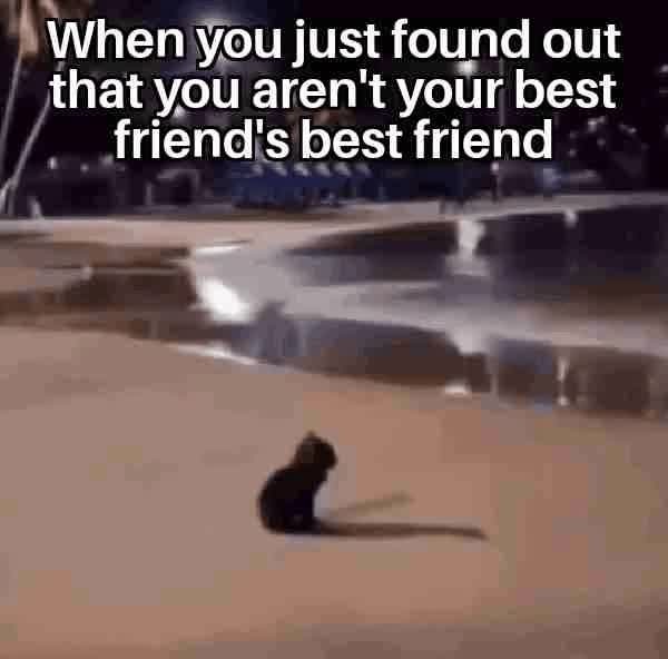 Not your best friend's best friend? - Meme by arrowguy :) Memedroid