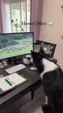 Home office - Meme by abheek_dota :) Memedroid
