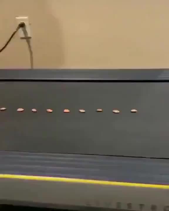 Very efficient - Meme by RedmanReaction :) Memedroid