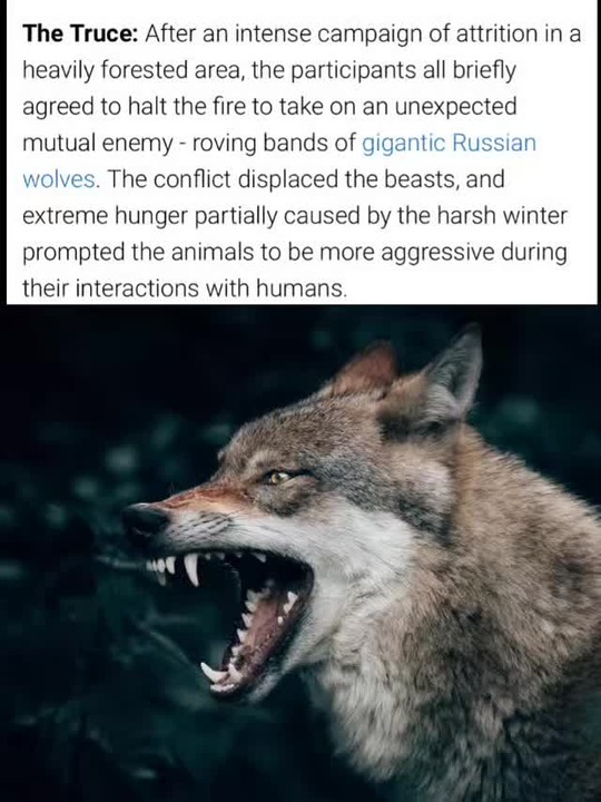 A common enemy - Meme by Knot_daddy :) Memedroid